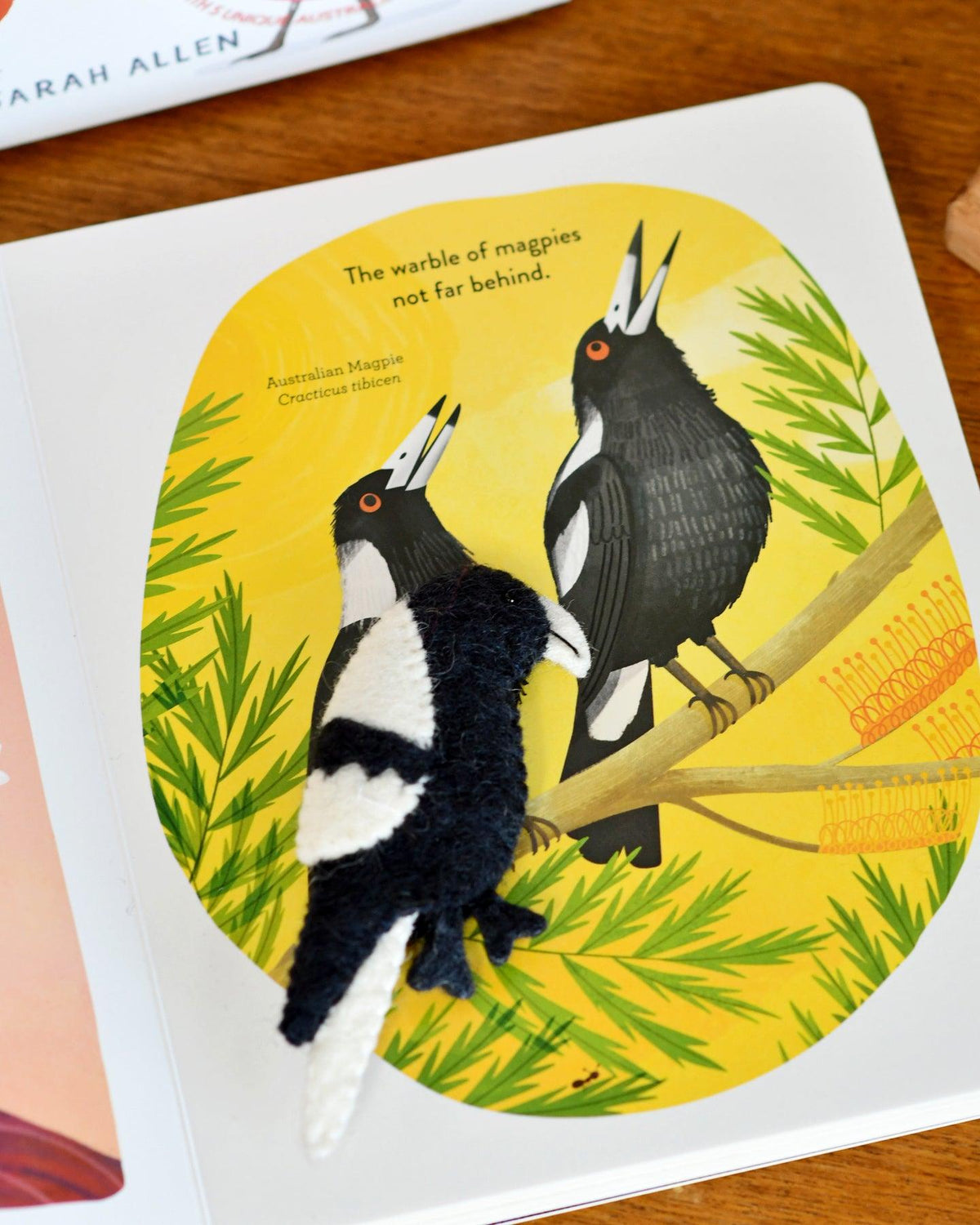 Busy Beaks Finger Puppets and Book Set by Sarah Allen – Tara Treasures