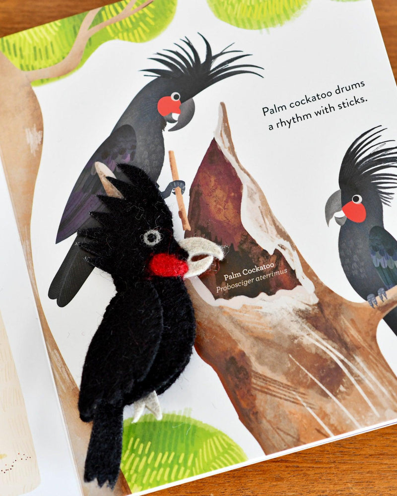 Busy Beaks Finger Puppets and Book Set by Sarah Allen | Tara Treasures