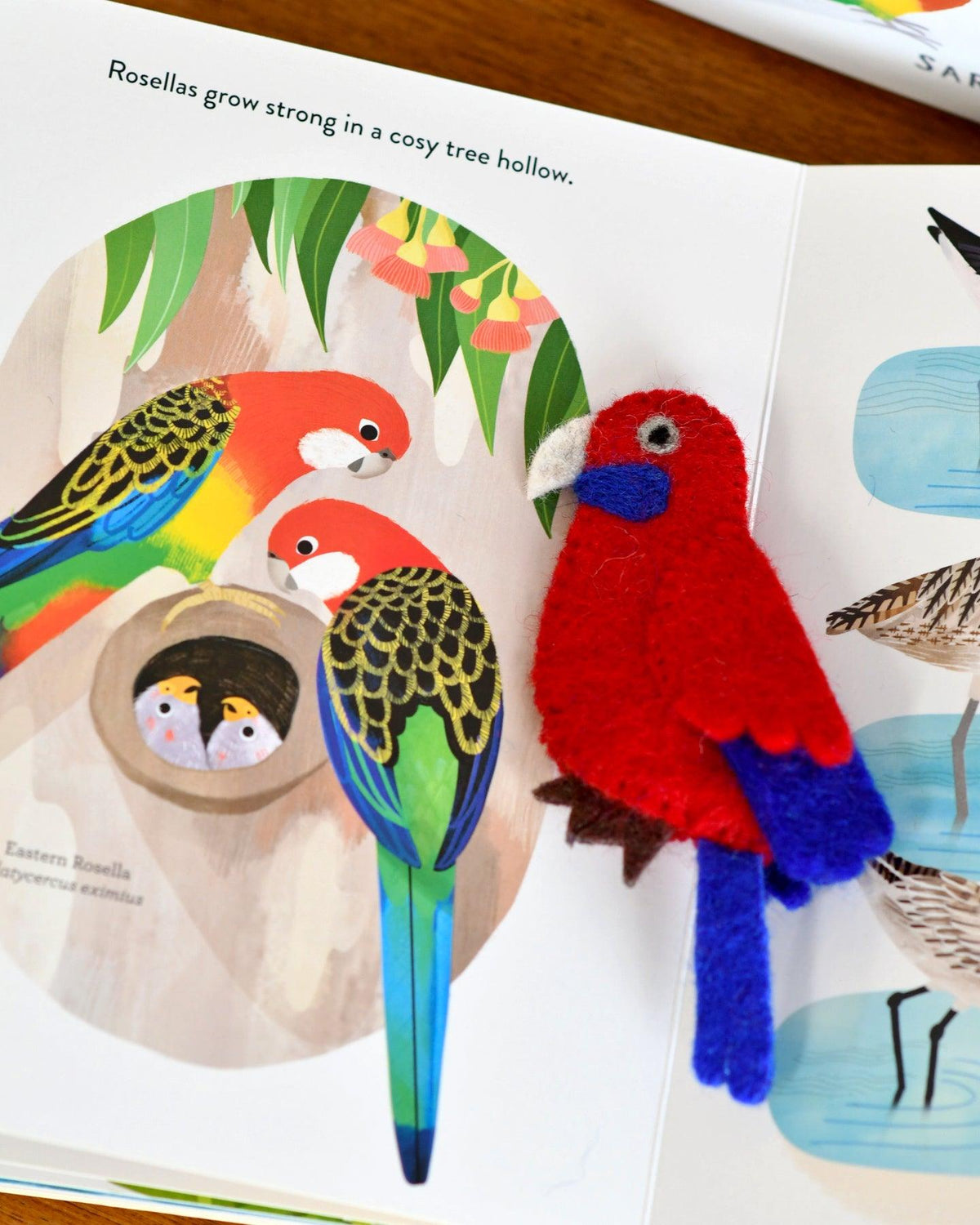 Busy Beaks Finger Puppets and Book Set by Sarah Allen | Tara Treasures