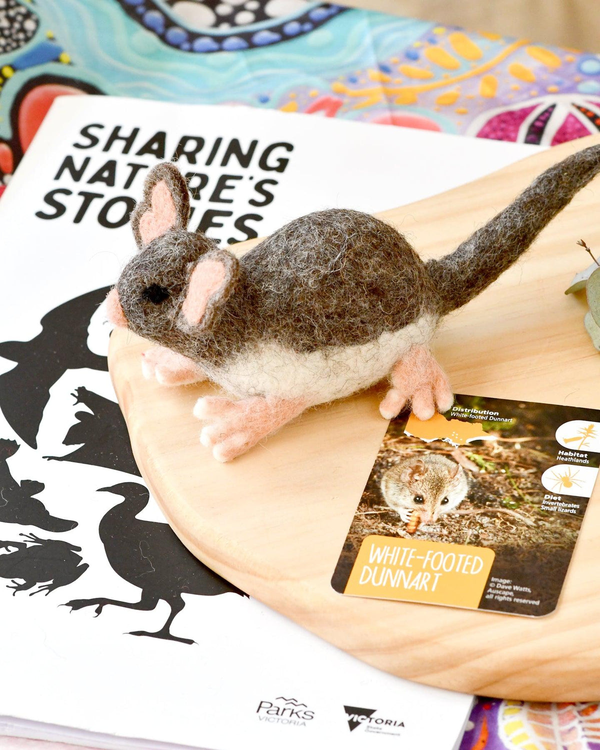 Felt Australian Toy - White-Footed Dunnart - Parks Victoria Nature ...