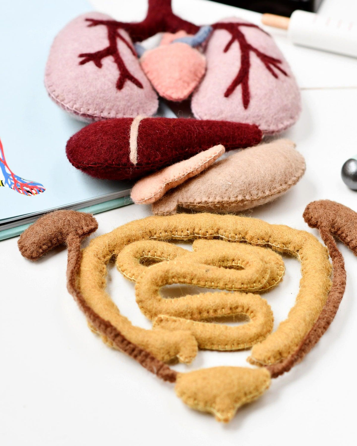 Felt Anatomy Set | Tara Treasures