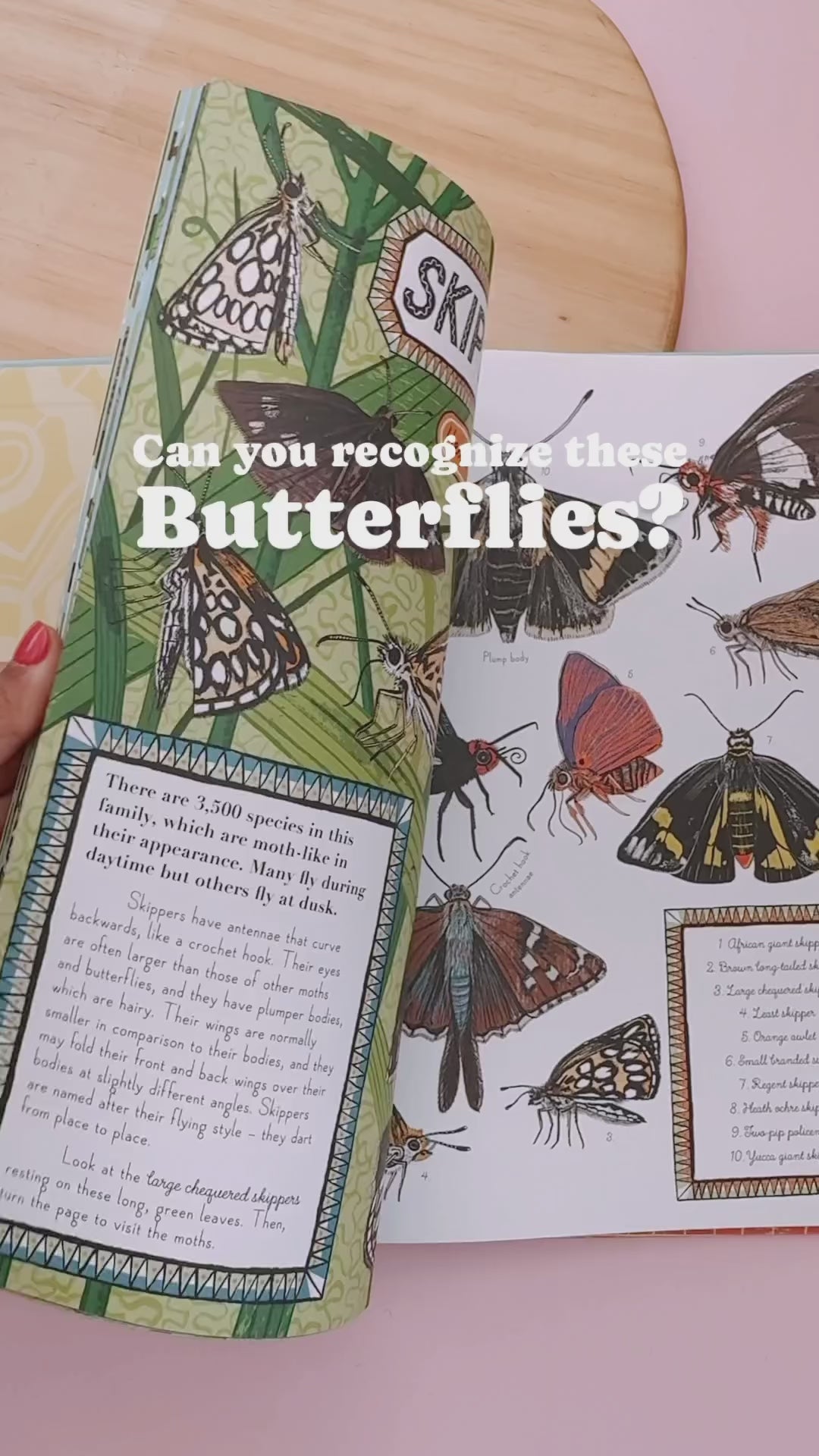 Butterflies Finger Puppet Set – Tara Treasures