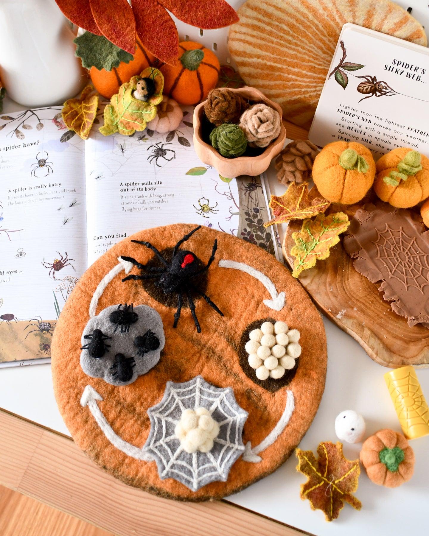 Felt Lifecycle of Redback Spider | Tara Treasures