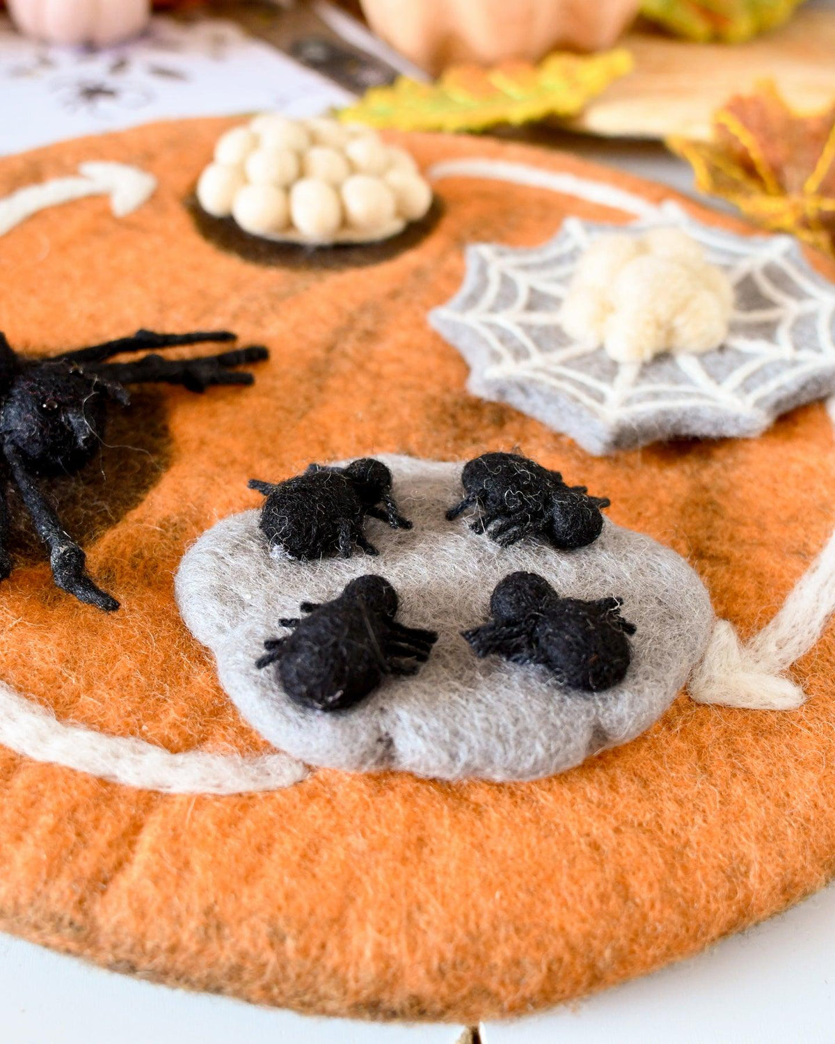 Felt Lifecycle of Redback Spider | Tara Treasures | Tara Treasures