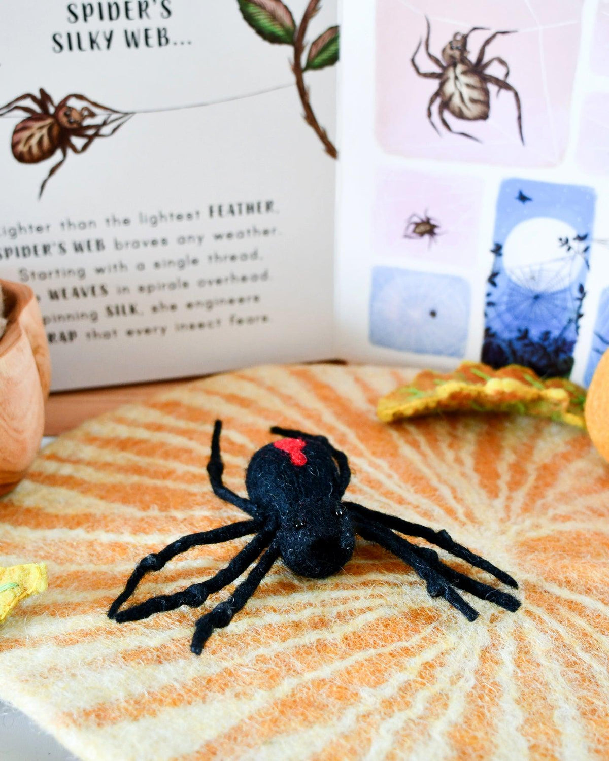 Felt Lifecycle of Redback Spider | Tara Treasures