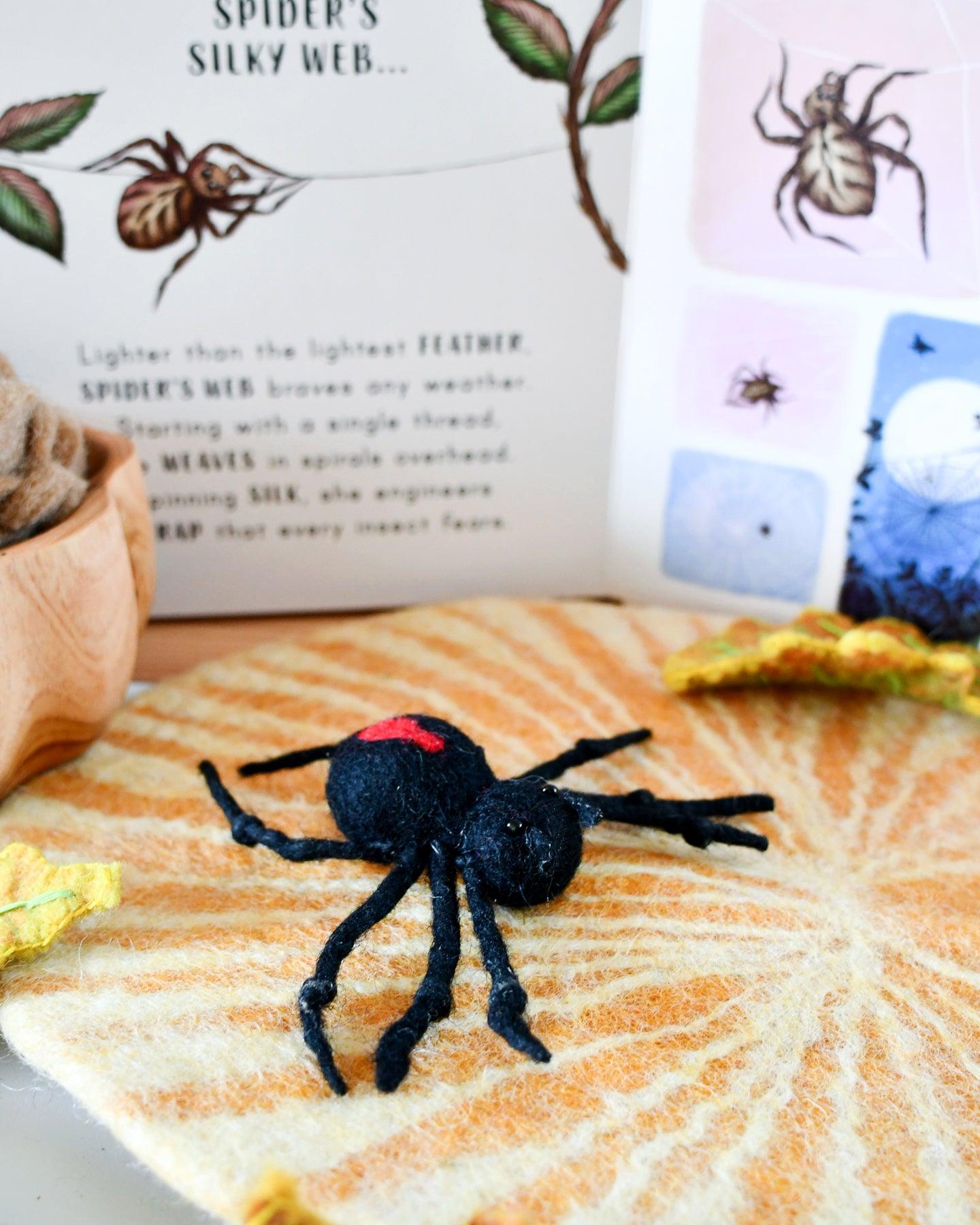 Felt Lifecycle of Redback Spider | Tara Treasures