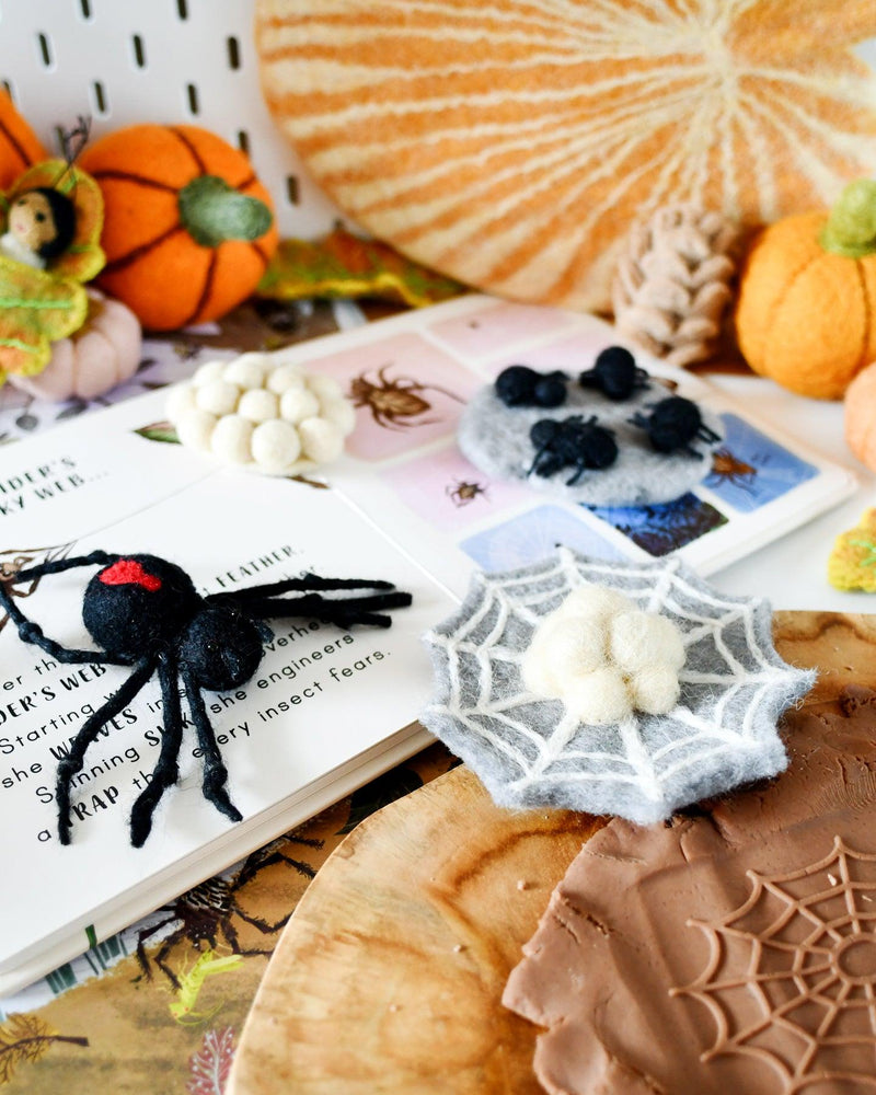 Felt Lifecycle of Redback Spider | Tara Treasures