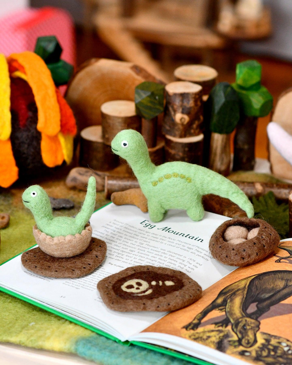 Felt Life Stages of a Dinosaur Brontosaurus – Tara Treasures