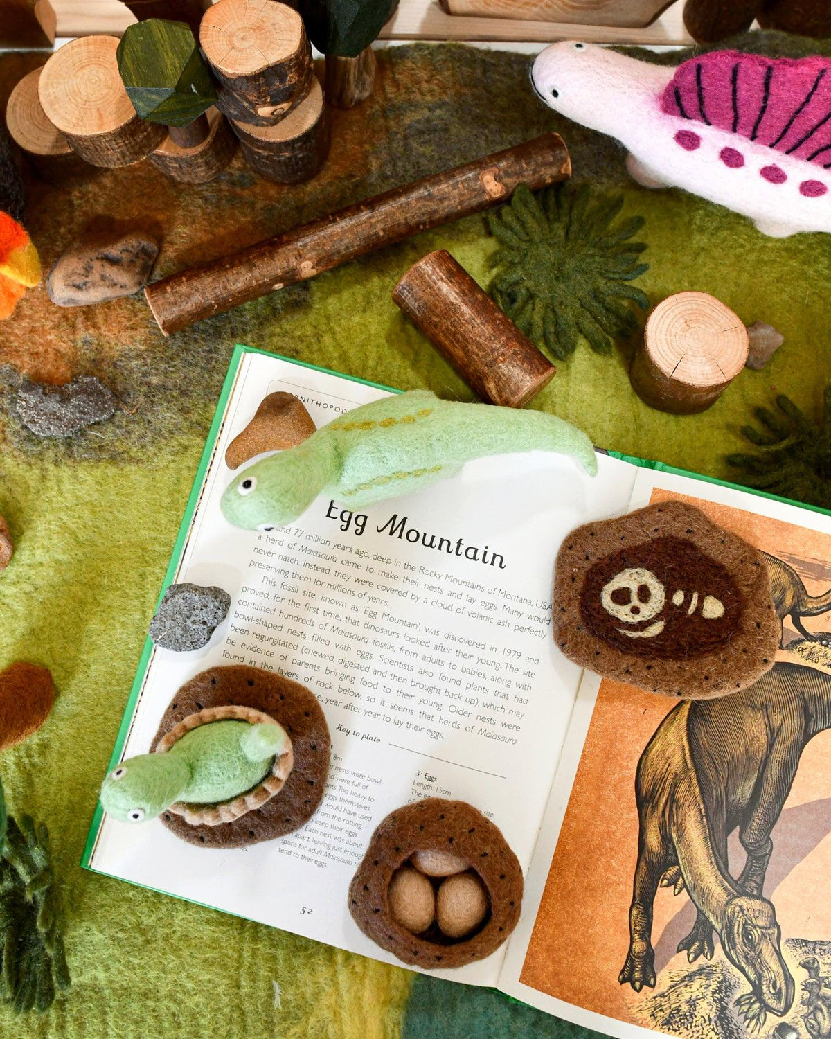 Felt Life Stages of a Dinosaur Brontosaurus | Tara Treasures