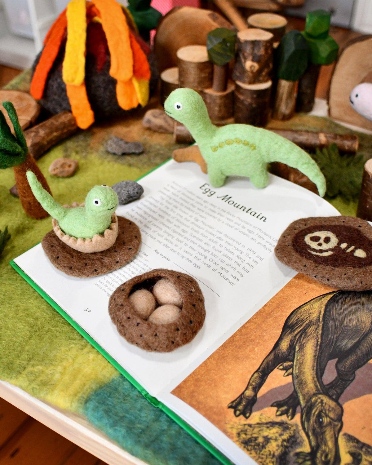 Felt Life Stages of a Dinosaur Brontosaurus | Tara Treasures | Tara ...