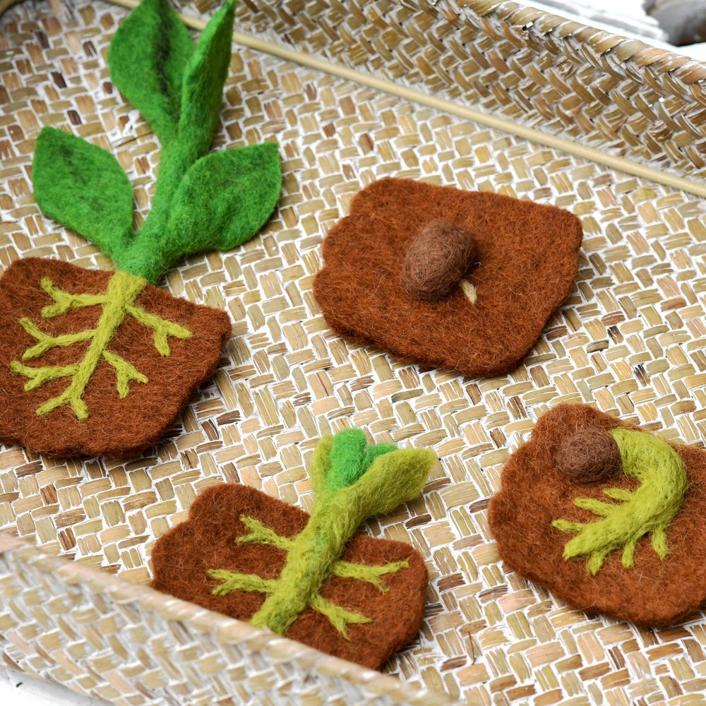 Life Cycle Toys | Tara Treasures