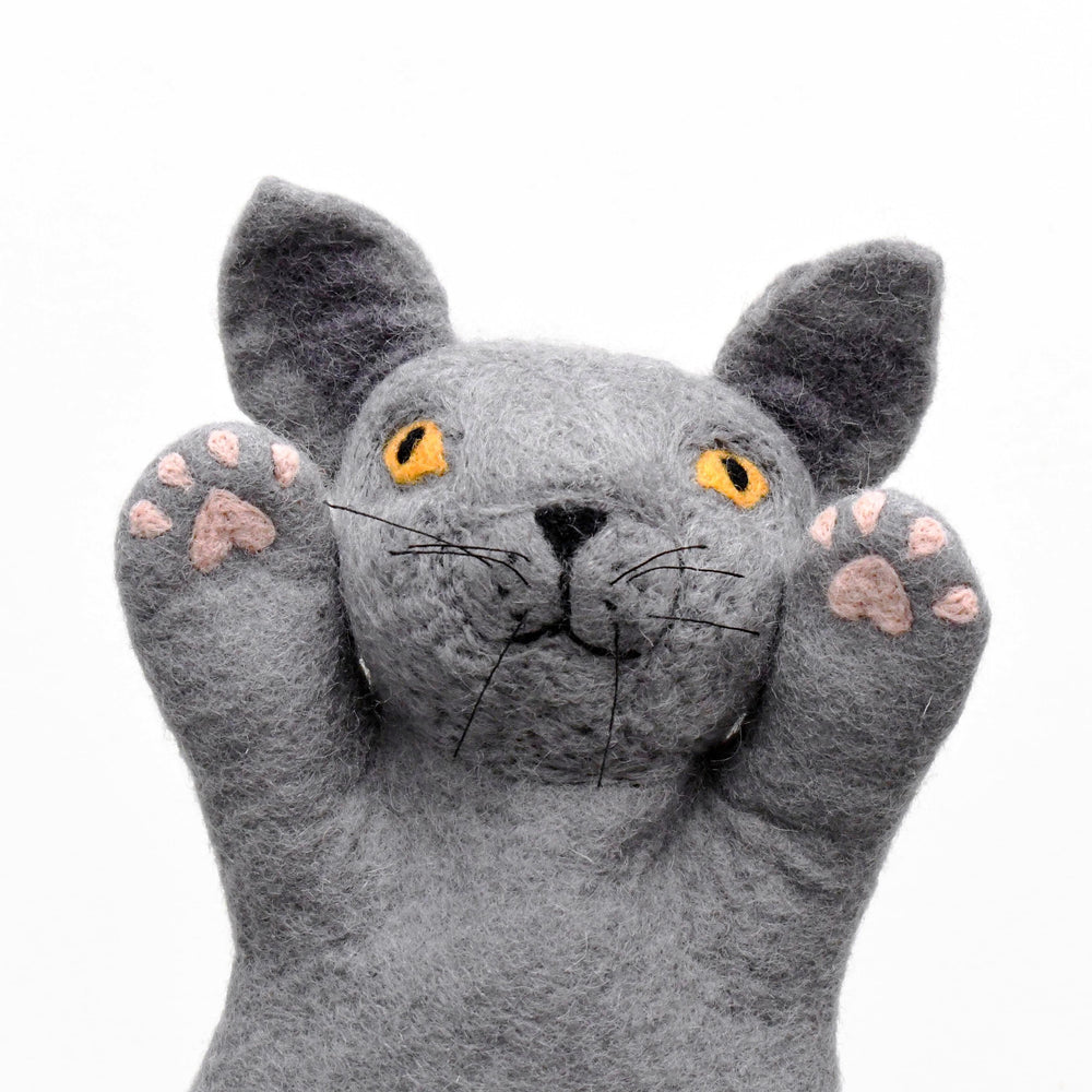 Felt Hand Puppets - Buy Soft & Safe Hand Puppets AU-Wide – Tara Treasures