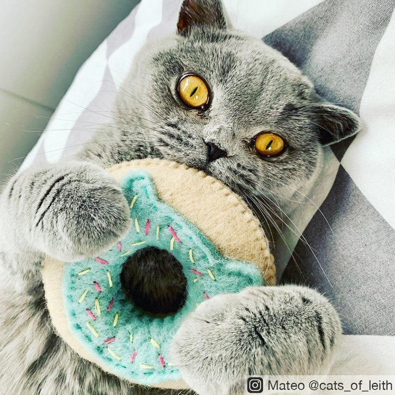Catnip Donut Toy for Cats | Tara Treasures | Tara Treasures