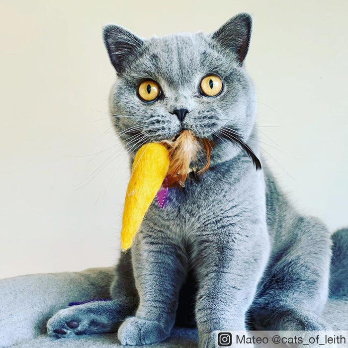 Natural Cat Toys | Tara Treasures