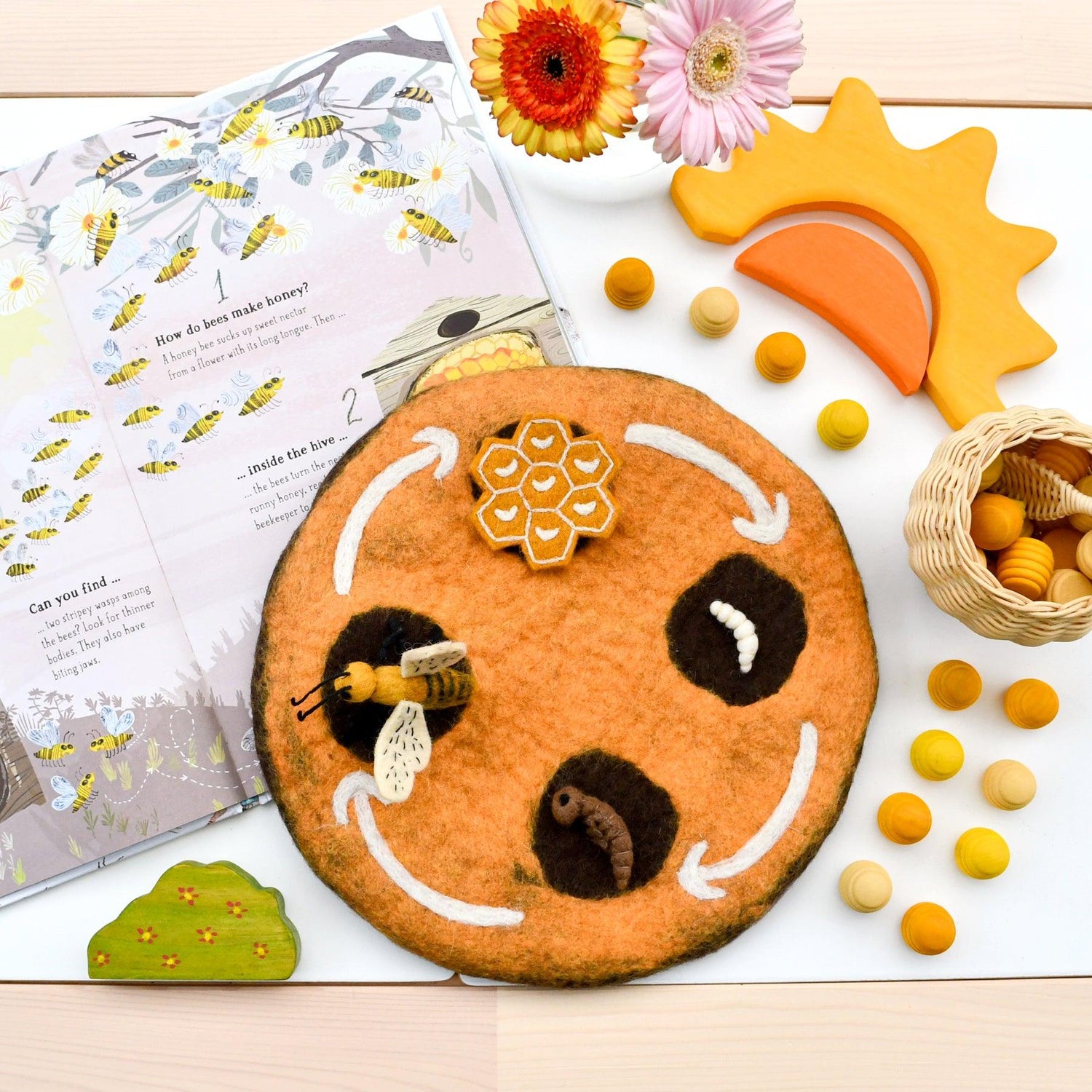 Life Cycle Toys | Tara Treasures