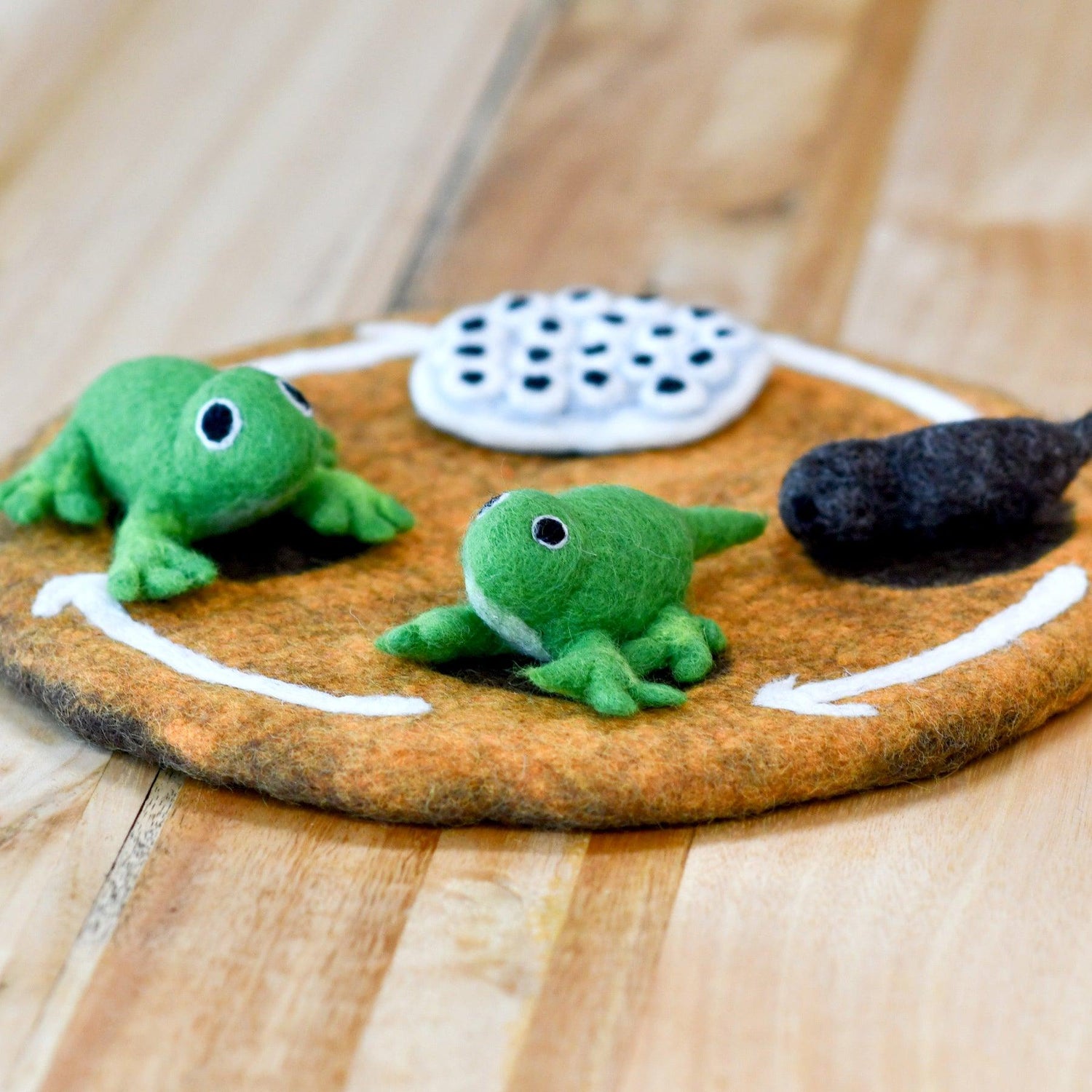 Felt Lifecycle of a Frog | Tara Treasures