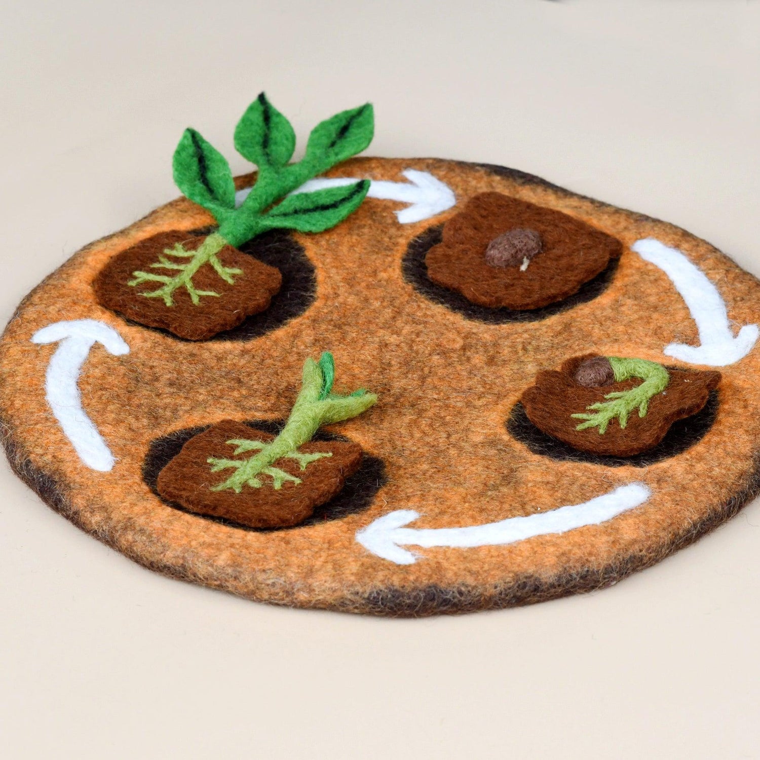 Felt Lifecycle of Bean Plant | Tara Treasures