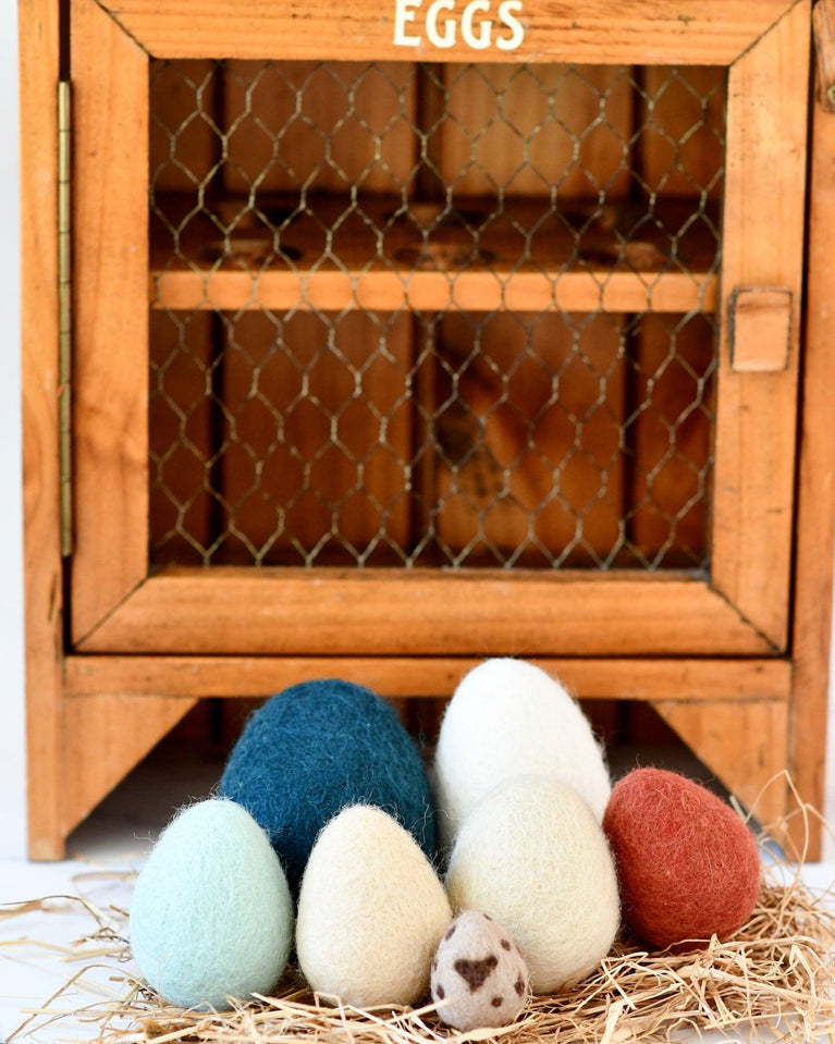 Felt Eggs (7 types of poultry eggs) | Tara Treasures
