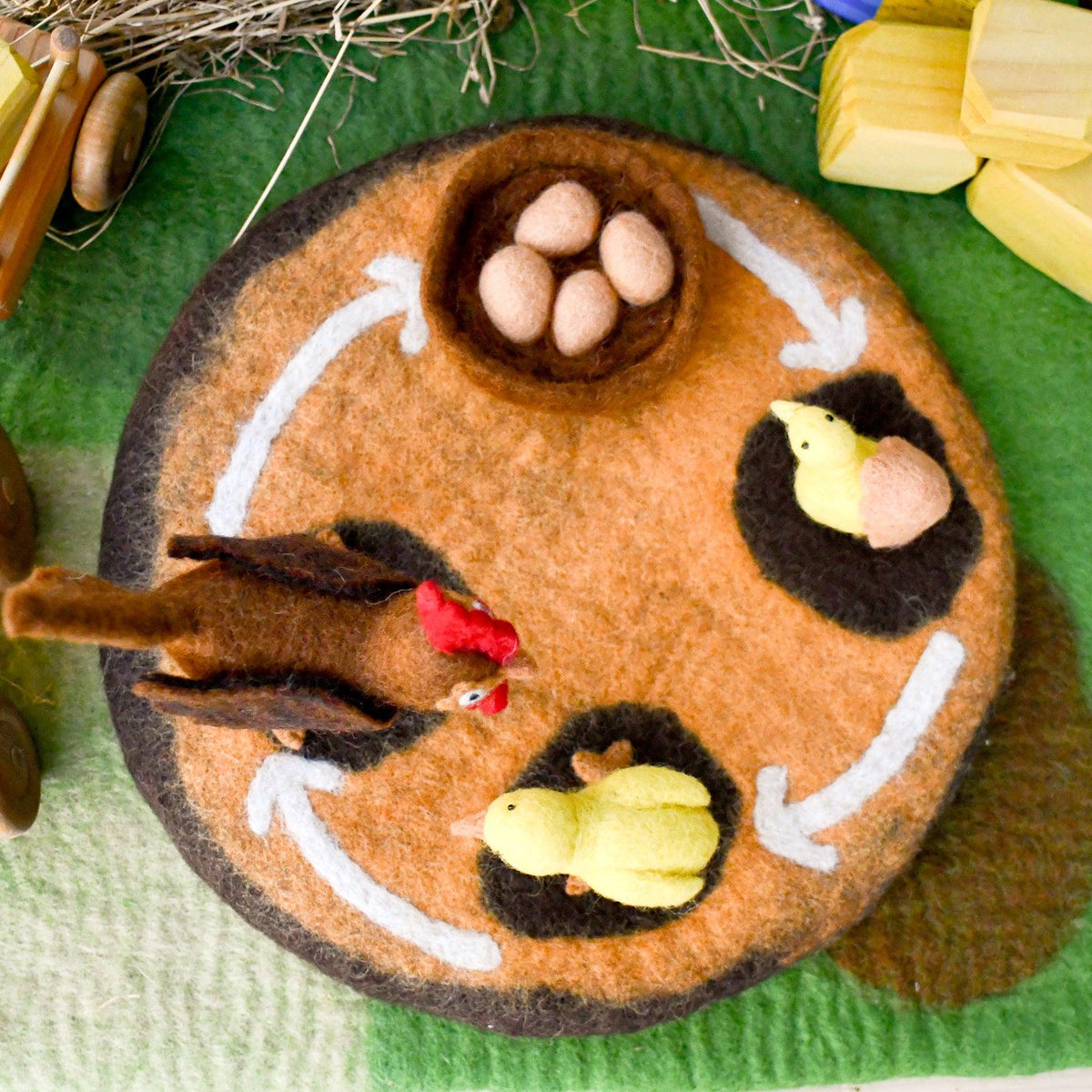 Life Cycle of a Chook Felt Toys | Tara Treasures | Tara Treasures