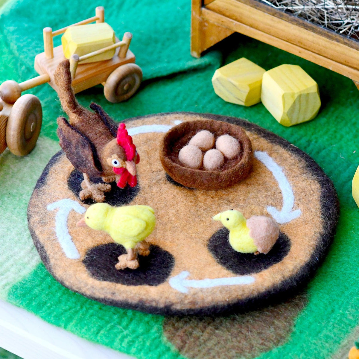Life Cycle of a Chook Felt Toys | Tara Treasures | Tara Treasures