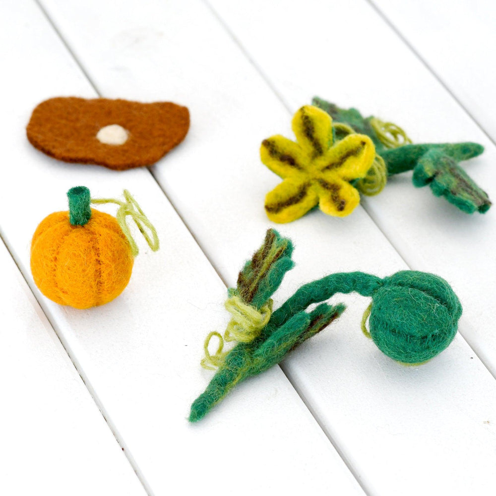 Life Cycle Toys - Buy Educational Life Cycle Felt Toys – Tara Treasures
