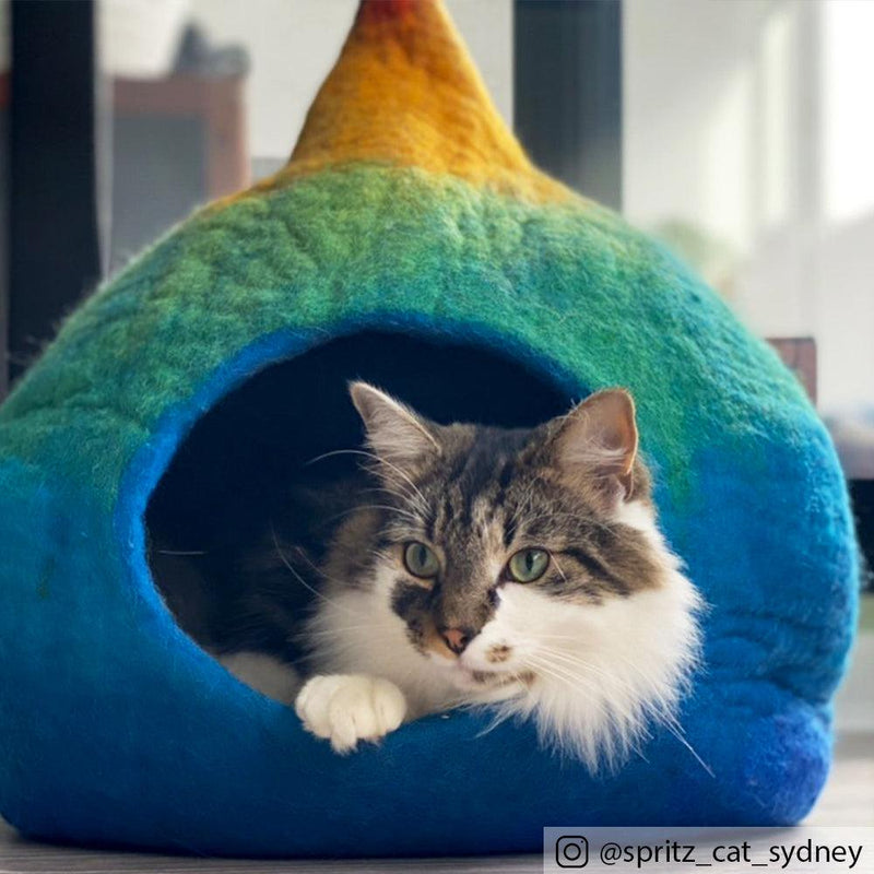 Cat Caves | Tara Treasures